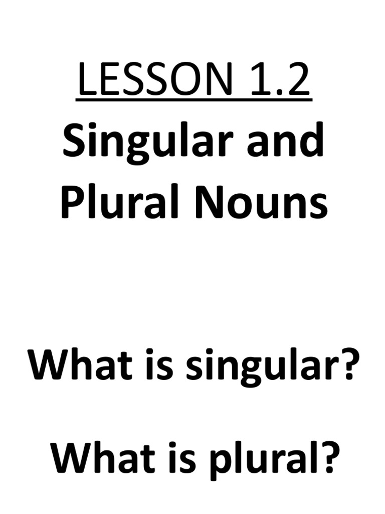 Lesson 1.2-A Singural and Plural Nouns | PDF | Plural | Grammatical Number