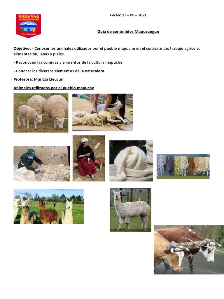 Guía animales mapuche | PDF