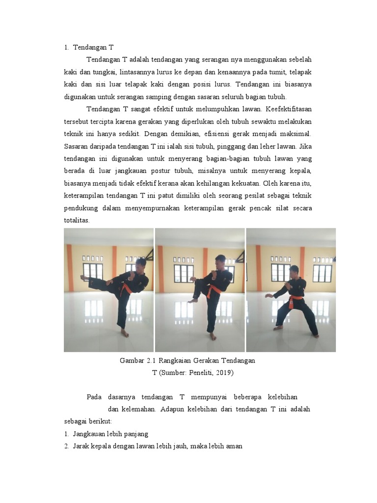 Tendangan T | PDF
