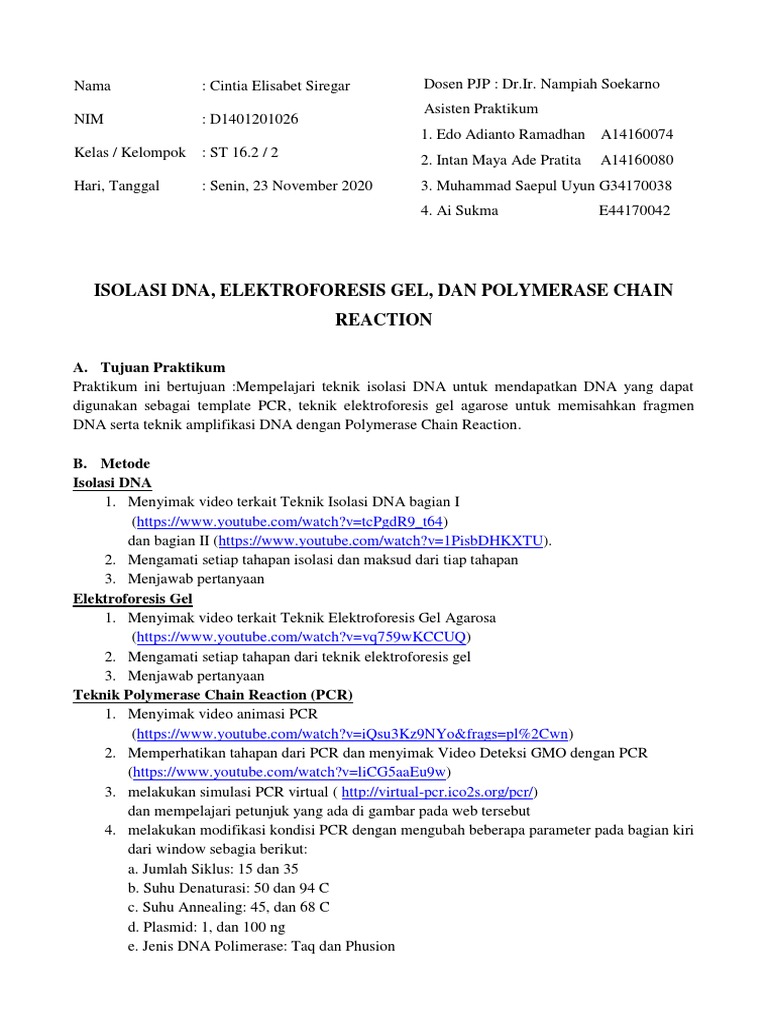 Isolasi DNA, Elektroforesis Gel, Dan PCR | PDF