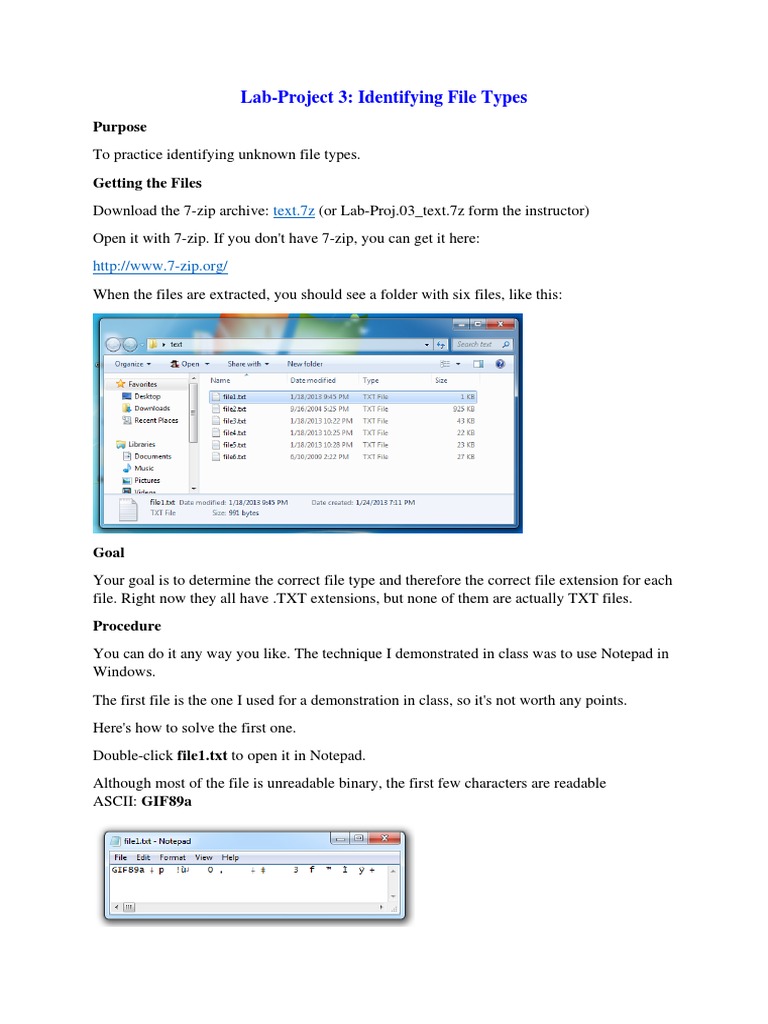 Lab-Project 3: Identifying File Types: Purpose | PDF