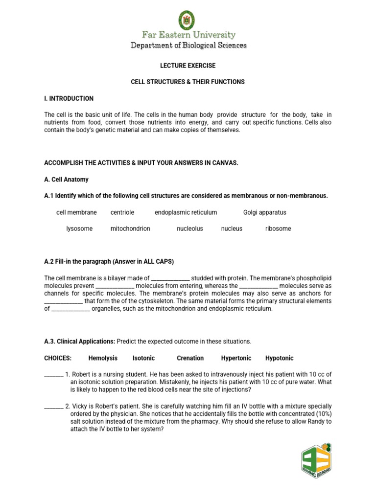 Cell Structure and Their Functions Lecture Exercise | PDF | Mitosis ...