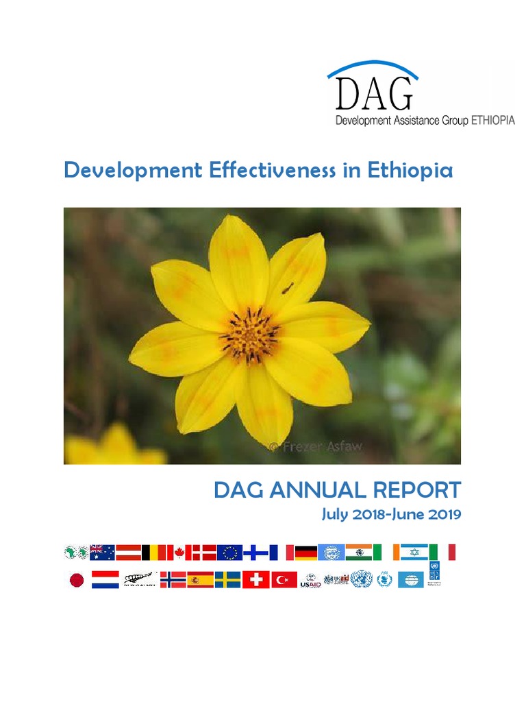 Ethiopia Development Report | PDF | Economic Growth | Sustainability