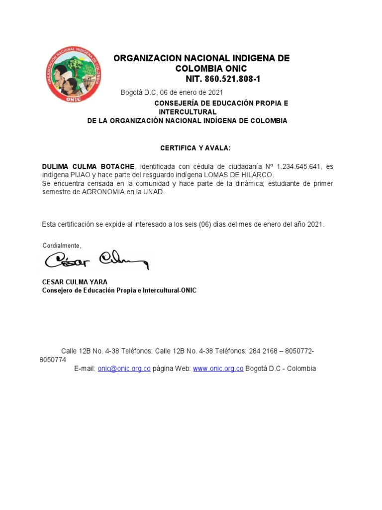 Organizacion Nacional Indigena de Colombia Onic NIT. 860.521.808-1 | PDF