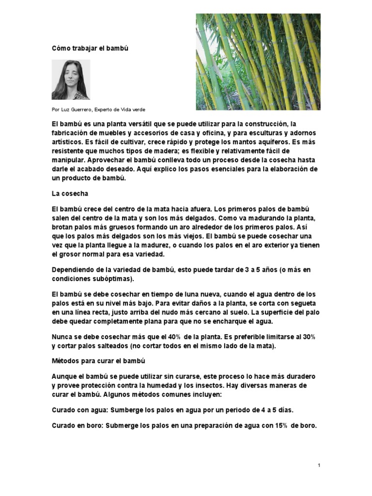 Guía práctica para trabajar el bambú | PDF | Madera | Aislamiento térmico