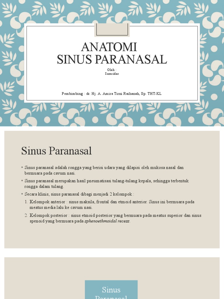 Sinus Paranasalis | PDF