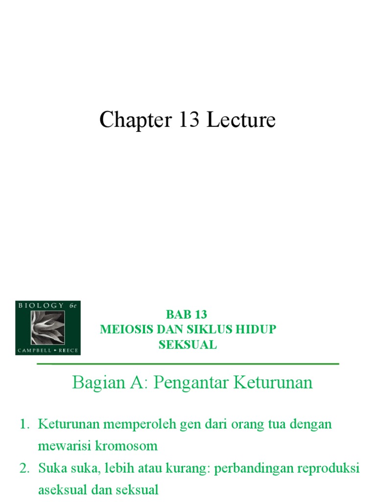Bab 13 Meiosis Campbell | PDF