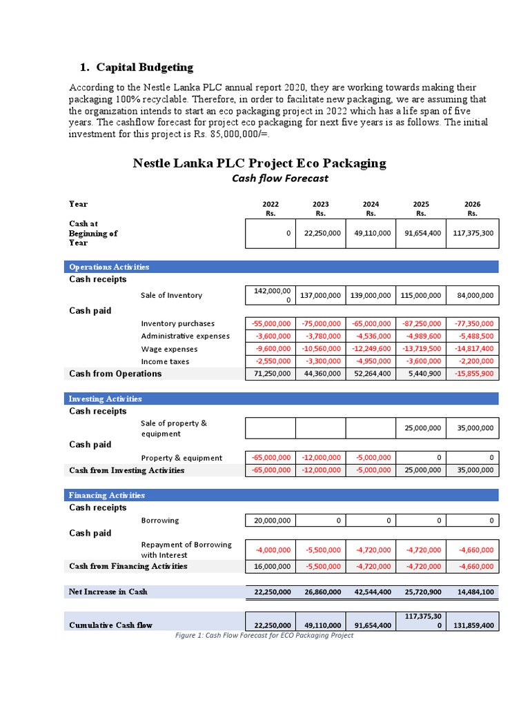 Nestle Lanka PLC Project Eco Packaging: 1. Capital Budgeting | Download ...