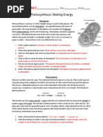 Photosynthesis and CellRespiration AnswerKey | PDF