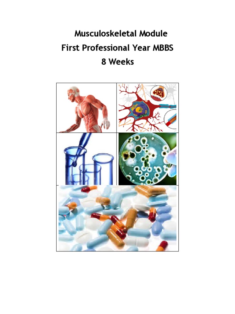 Musculoskeletal Module First Professional Year MBBS 8 Weeks | PDF ...