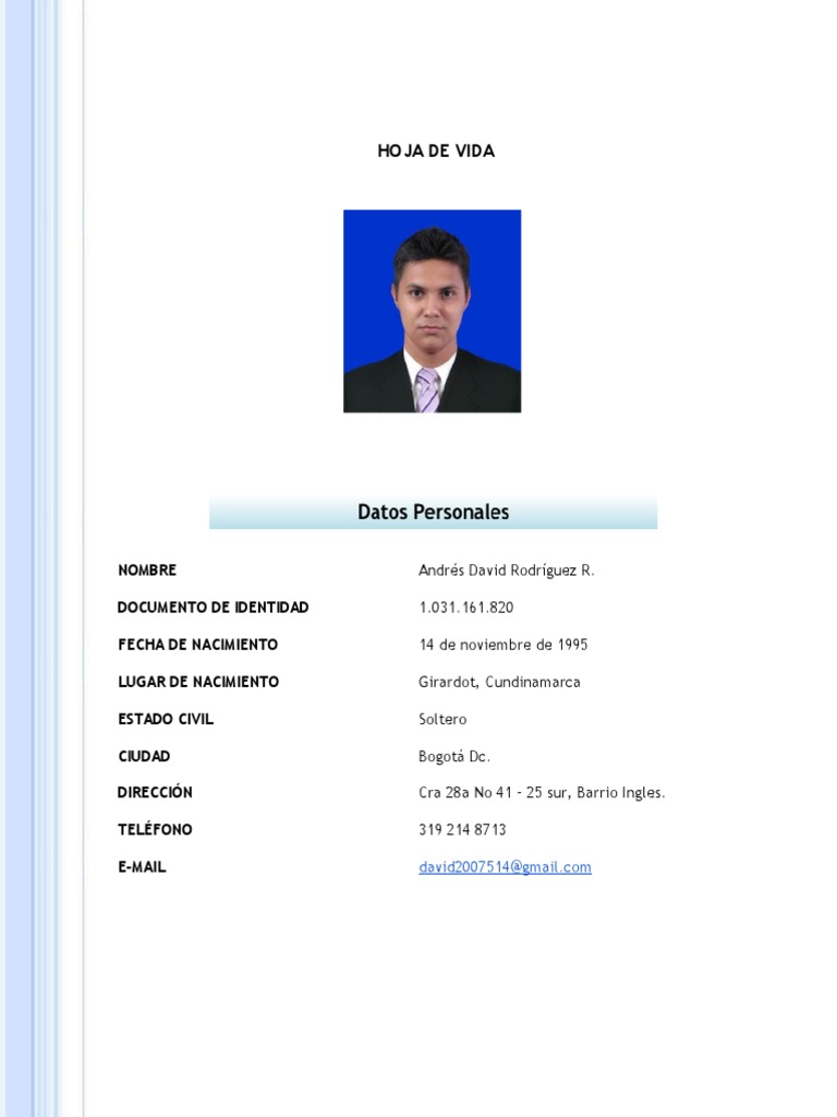 Hoja de Vida | PDF | Desarrollo de software | Ingeniería de software