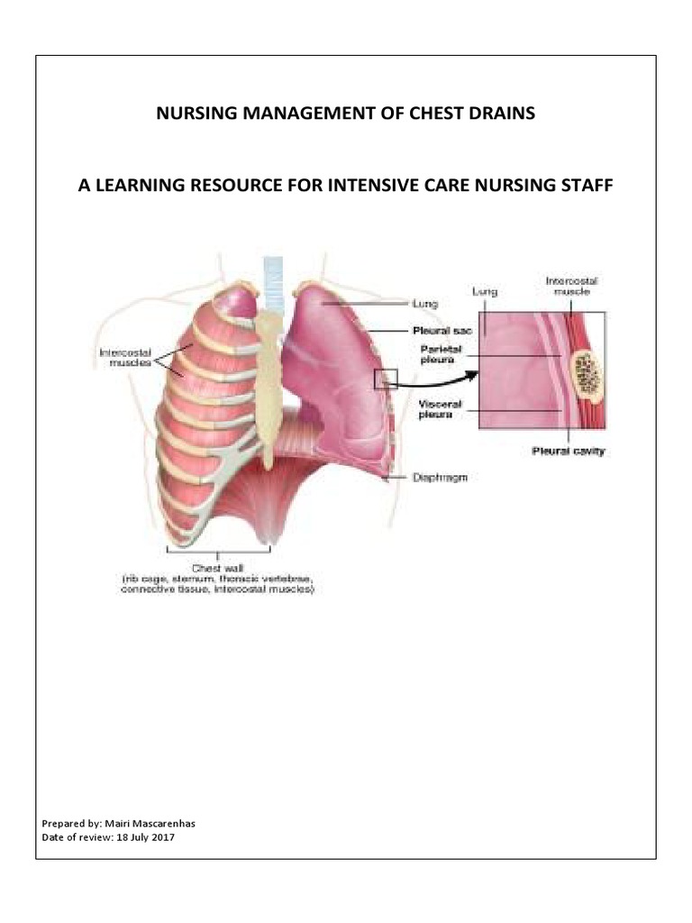 Chest Drains Learning Resource | PDF | Lung | Thorax (Human Anatomy)