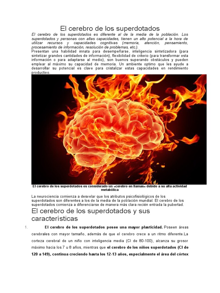 El Cerebro de Superdotados 2 | PDF | Cerebro | Dotamiento intelectual