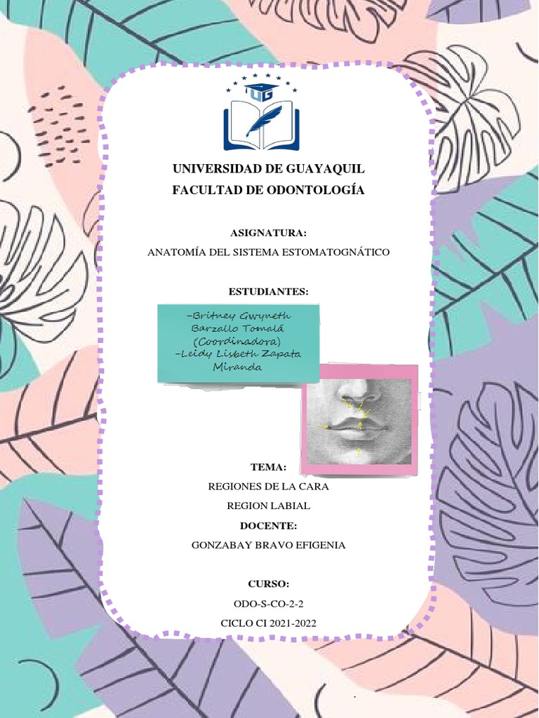 Anatomía de la región labial | PDF | Cabeza y cuello humanos | Cara