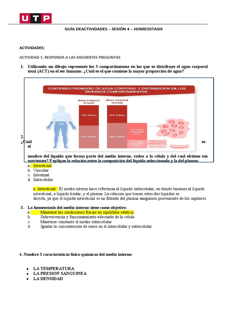 Guia Actividades - Sesión 4 - Homeostasis | PDF | Fisiología | Medicina ...