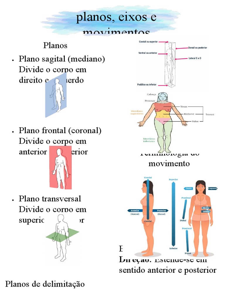Planos, Eixos e Movimentos | PDF | Movimentos anatômicos | Membros (anatomia)