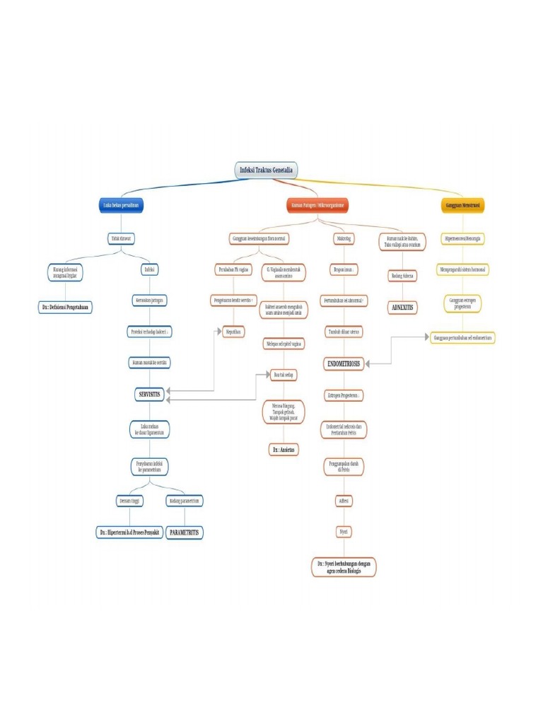 Pathway Infeksi Traktus Genetalia1 | PDF