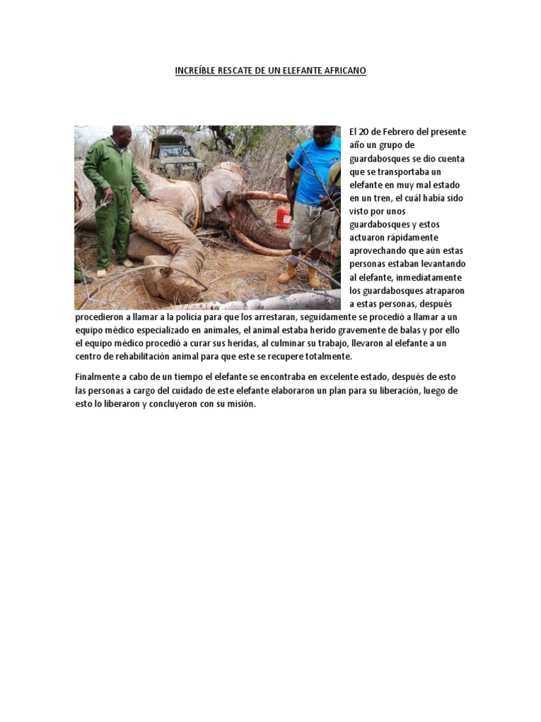INCREÍBLE RESCATE DE UN ELEFANTE AFRICANO - Noticia | PDF