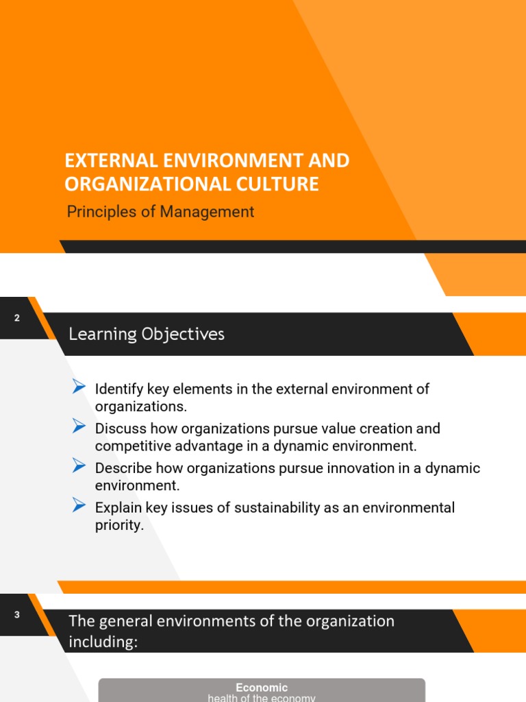 Understanding the Dynamic Relationship Between Organizations and Their ...