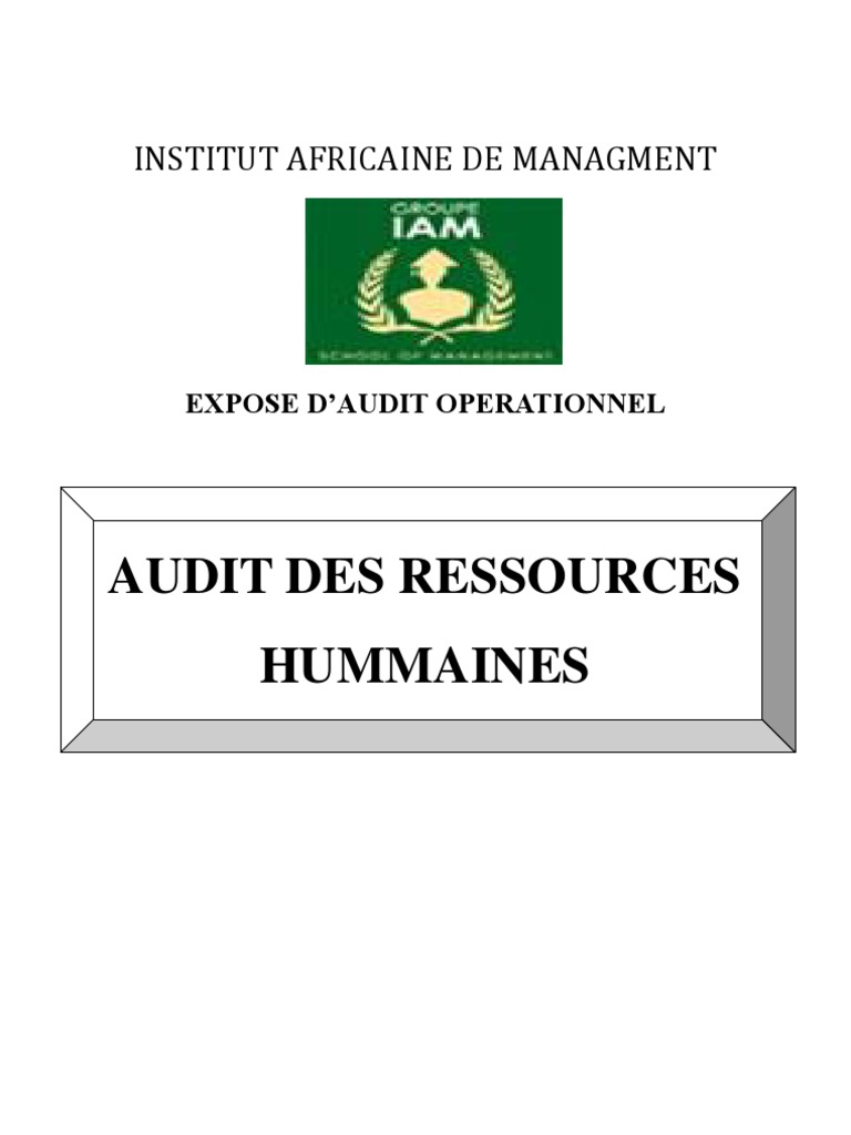 Audit Des Ressources Humaines | PDF | Audit | Audit interne