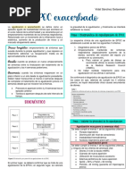 EPOC Clasificacion Anthonisen | PDF