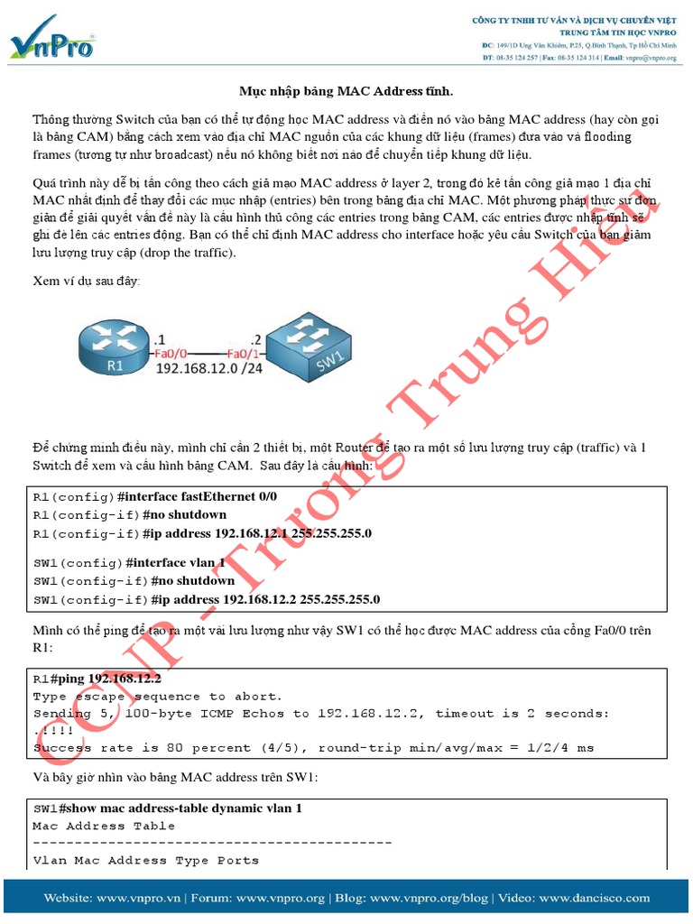 Static MAC Address Table Entry | PDF