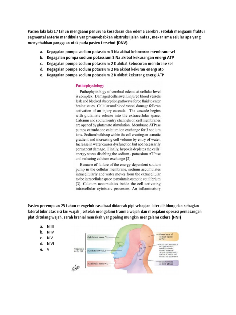 Soal Bedah Saraf | PDF