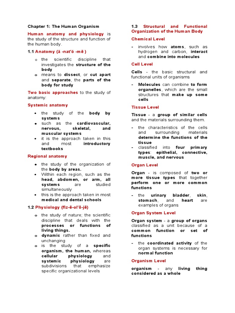 AnaPhy Reviewer | Download Free PDF | Abdomen | Peritoneum