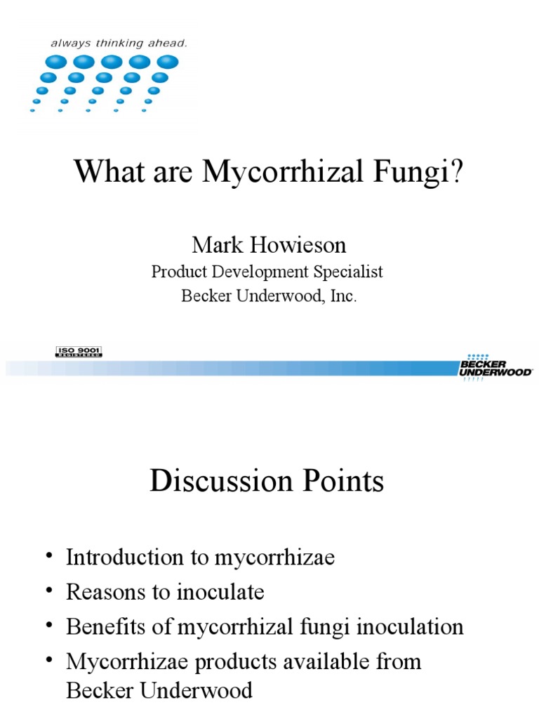 What Are Mycorrhizal Fungi?: Mark Howieson | PDF | Branches Of Botany ...