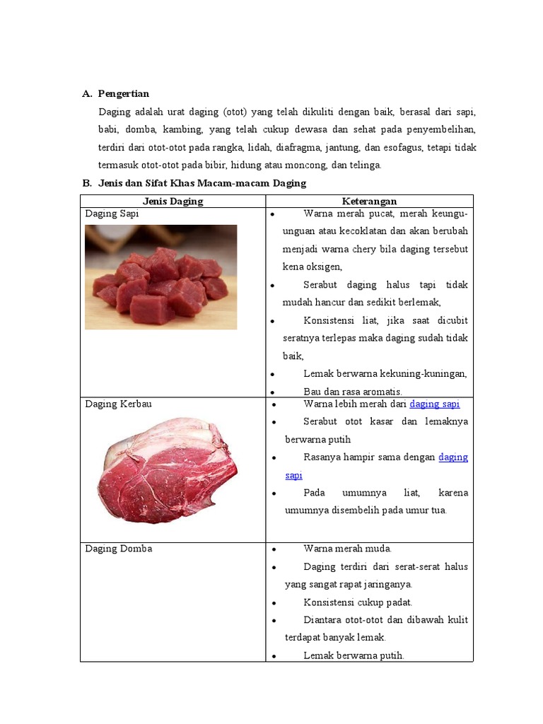Materi Daging | PDF