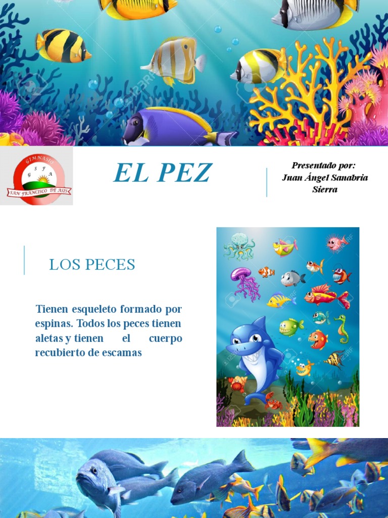 EL Pecesito | PDF | Hogar, jardinería y bricolaje | Ciencia y matemáticas