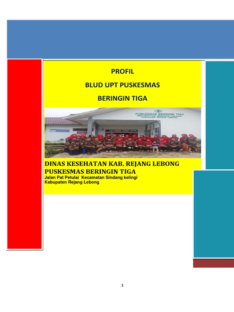 PROFIL BLUD Upt PKM br3 | PDF