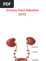 UTI - Concept Map | PDF | Urinary Tract Infection | Microbiology