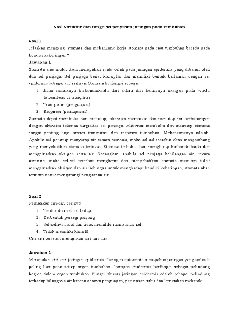SOAL - Fix | PDF