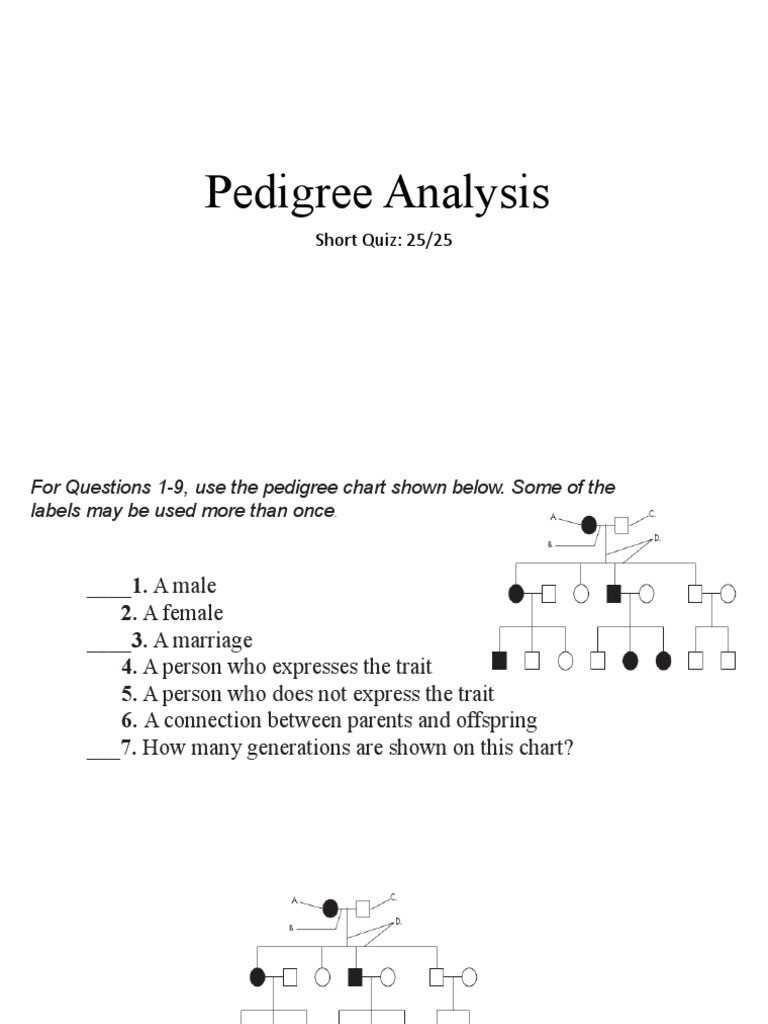 Pedigree Quiz: 25 Questions | PDF | Genotype | Zygosity