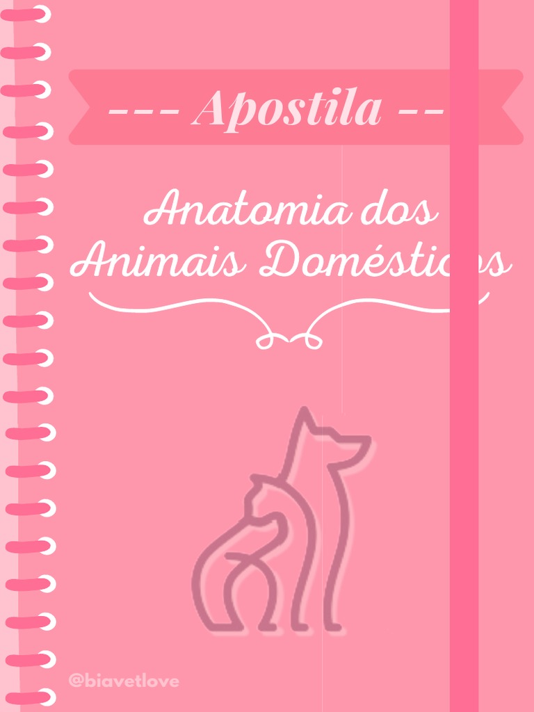 Apostila Anatomia Veterinária Completa Ilustrada e Detalhada | PDF ...