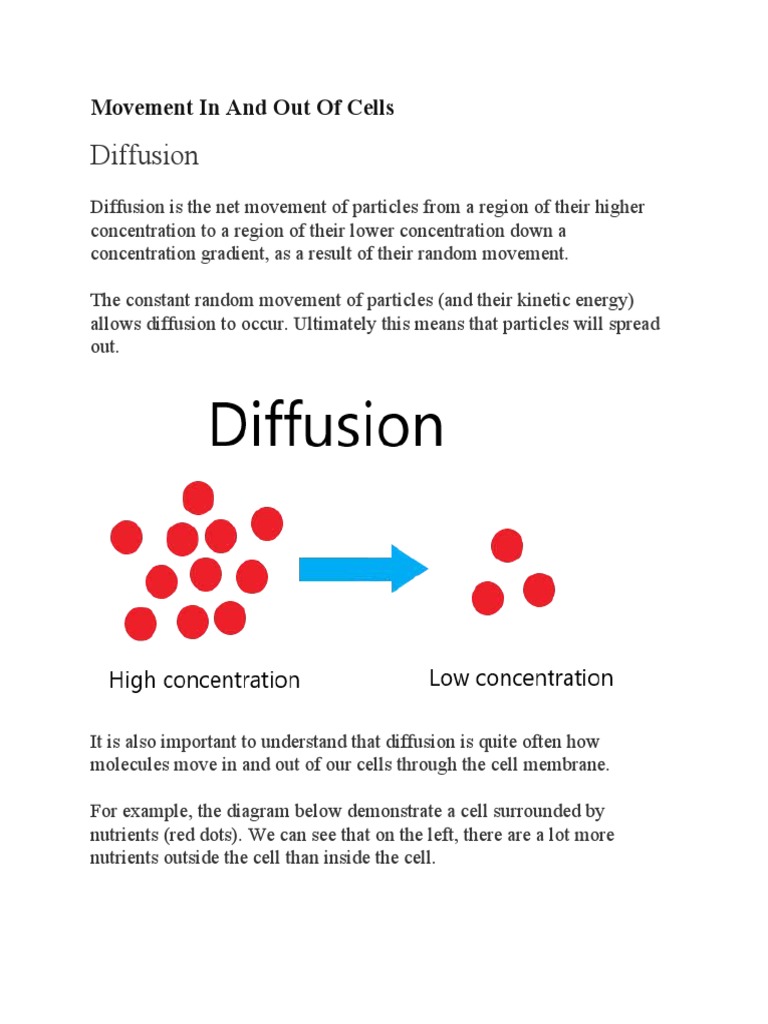 IGCSE Biology Chapter 3: Movement in & Out of Cells | PDF | Osmosis ...