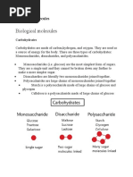 Z Notes Chemistry 2023-25 | PDF | Ion | Reaction Rate