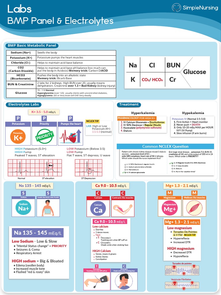 Labs - BMP Panel & Electrolytes | PDF | Electrolyte | Diseases And ...