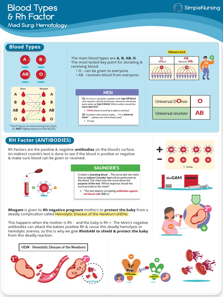 1.4 Blood Types & RH Factor | PDF | Blood Type | Serology
