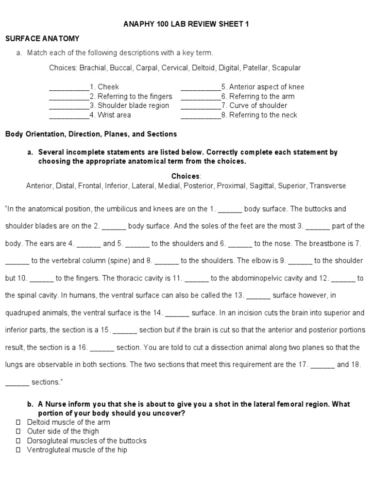 Anaphy 100 Lab Practice Review Sheet 1 and 2 | PDF | Human Body ...