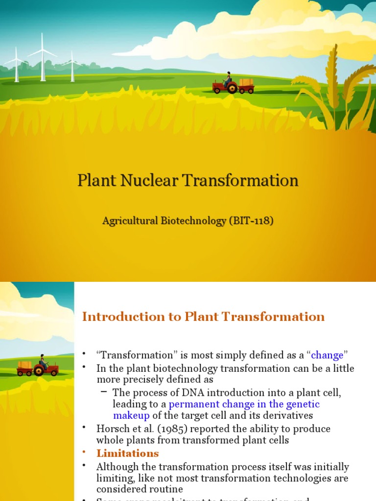 Plant Nuclear Transformation Overview | PDF | Transformation (Genetics ...