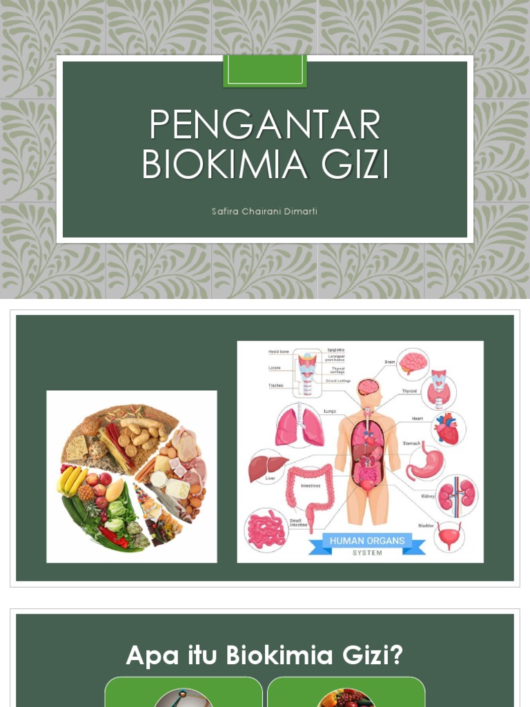 Pengantar Biokimia Gizi Arief Edit | PDF
