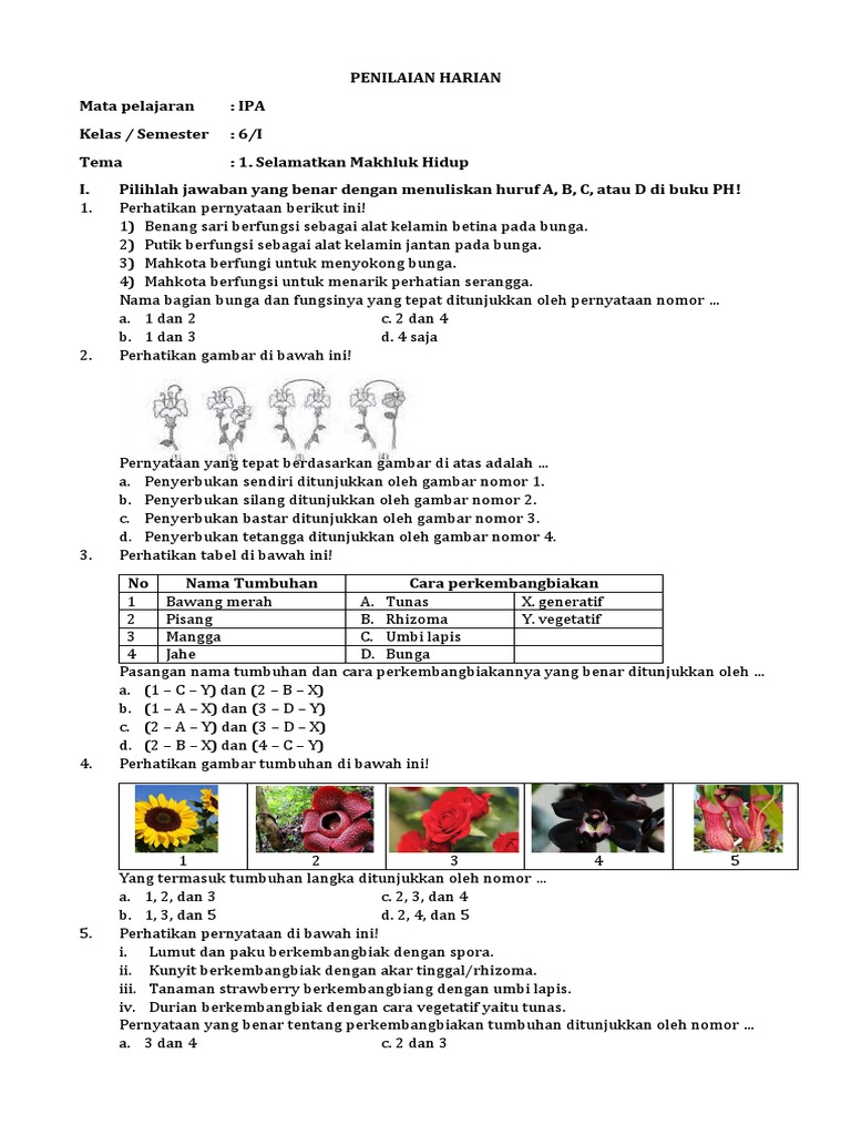 PH IPA Tema 1 Kelas 6 SD | PDF