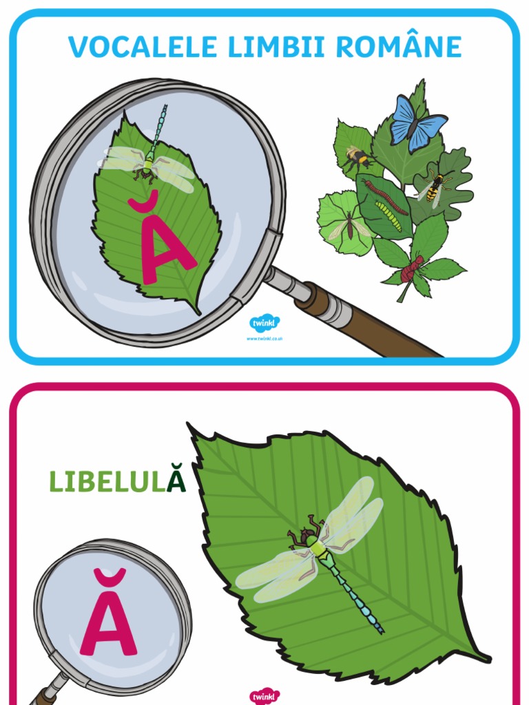 Vocalele Limbii Romane - Planse | PDF