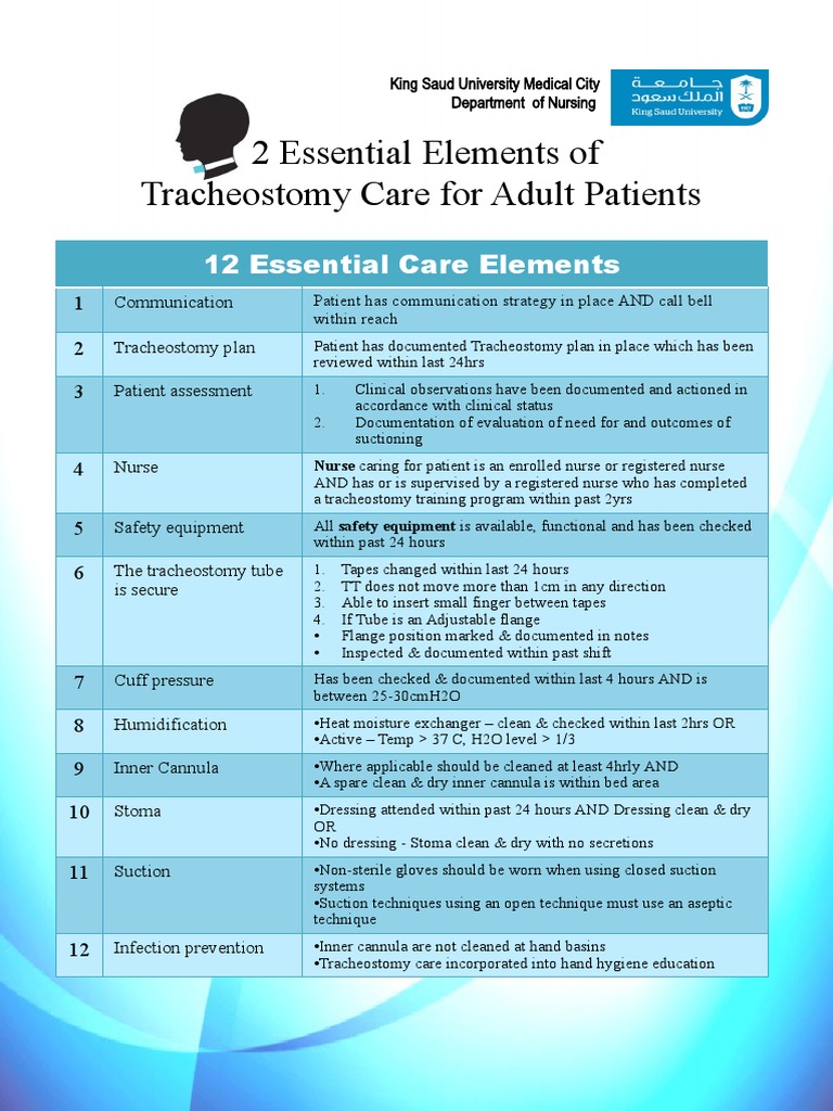 12 Essential Elements | PDF | Nursing | Health Care