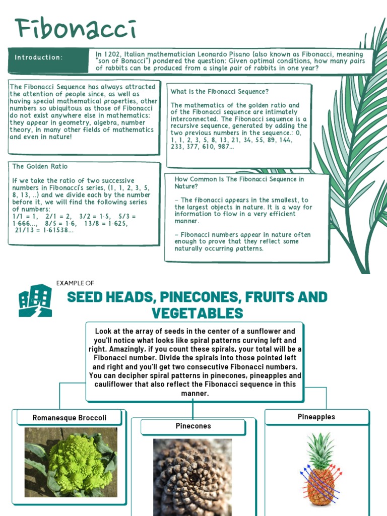Fibonacci Notes | PDF | Mathematics