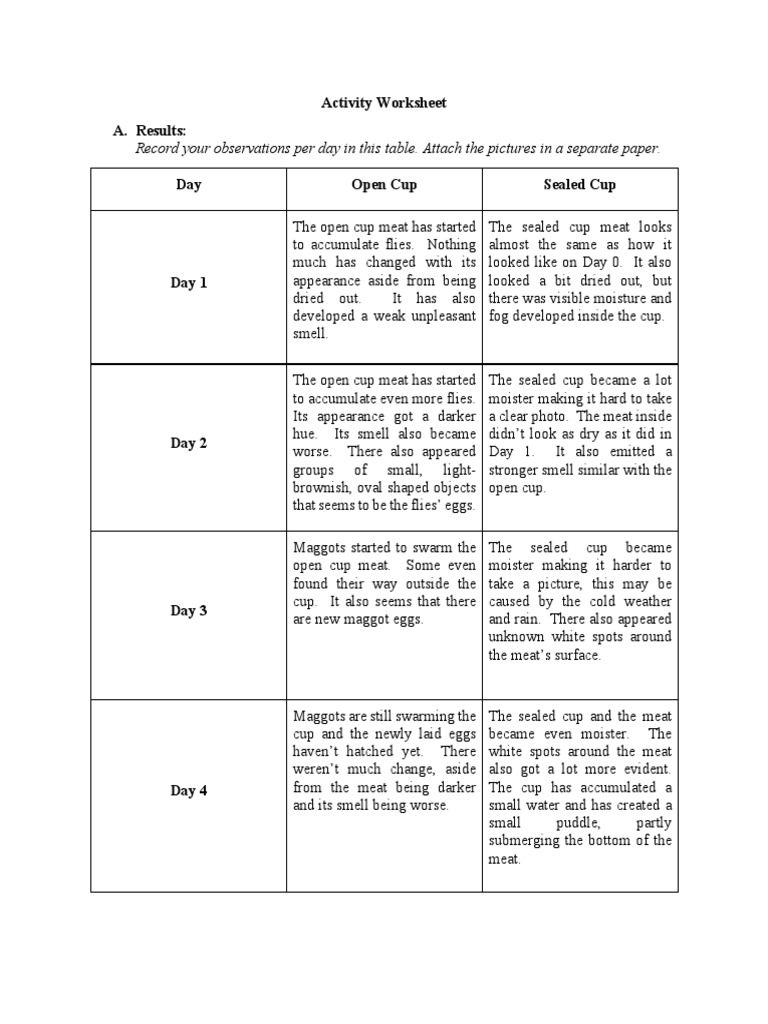 Biology Worksheet Origin of Life | PDF | Fly | Experiment