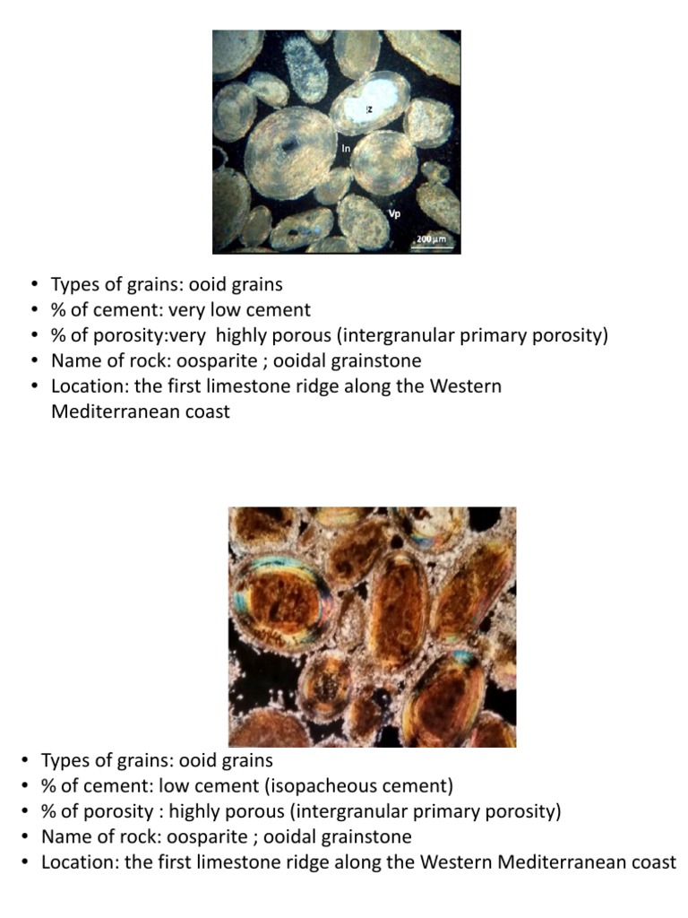 Quaternary Rock Thin Section | PDF | Limestone | Earth Sciences