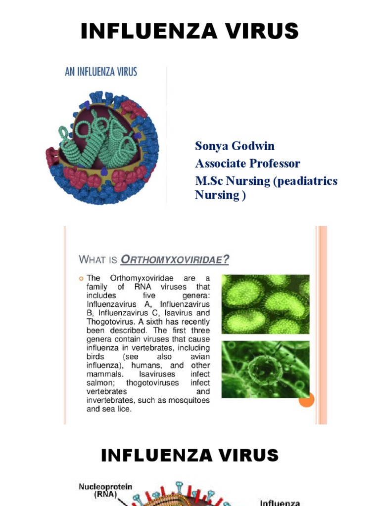 Influenza Virus: Sonya Godwin Associate Professor M.SC Nursing ...